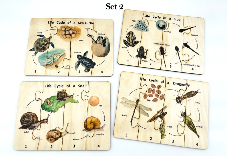 Montessori Life Cycle Puzzle Set/ Kids Learning Activity/ Homeschool ...