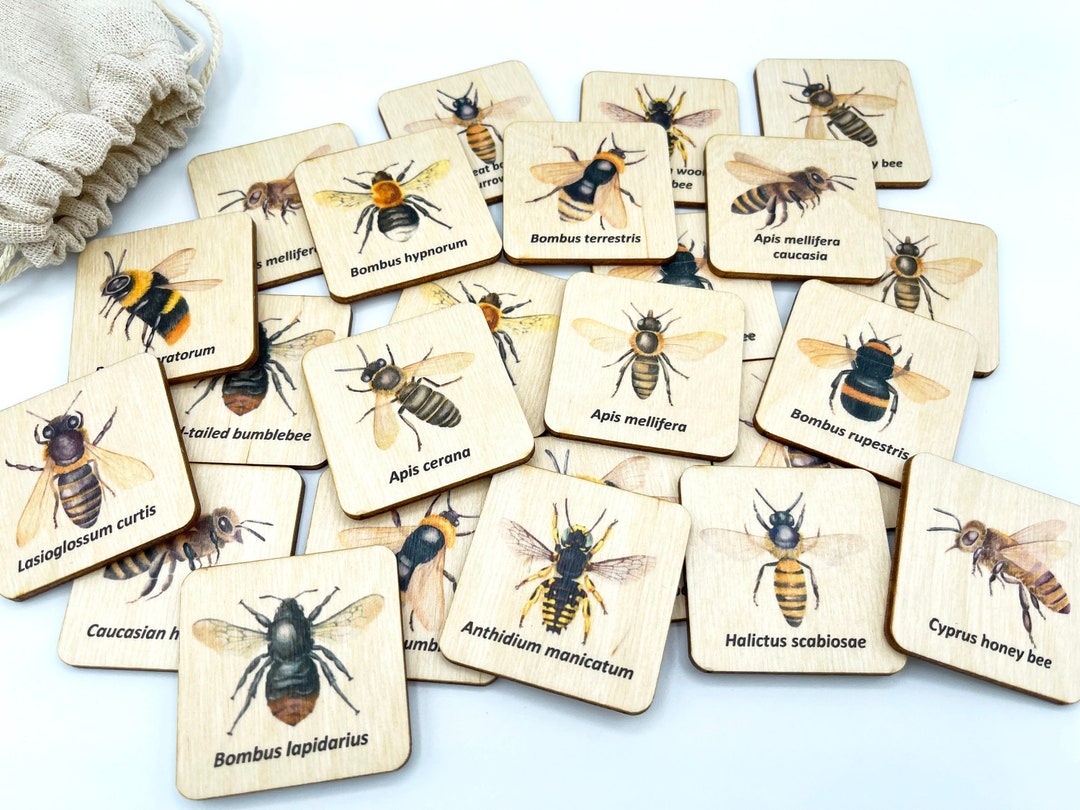 Montessori Bee Insect Matching Game/ Toddler Preschooler Homeschool ...