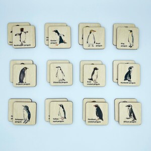 Wooden Penguin Animals Memory Game Matching Cards/montessori ...