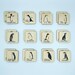 Wooden Penguin Animals Memory Game Matching Cards/montessori - Etsy