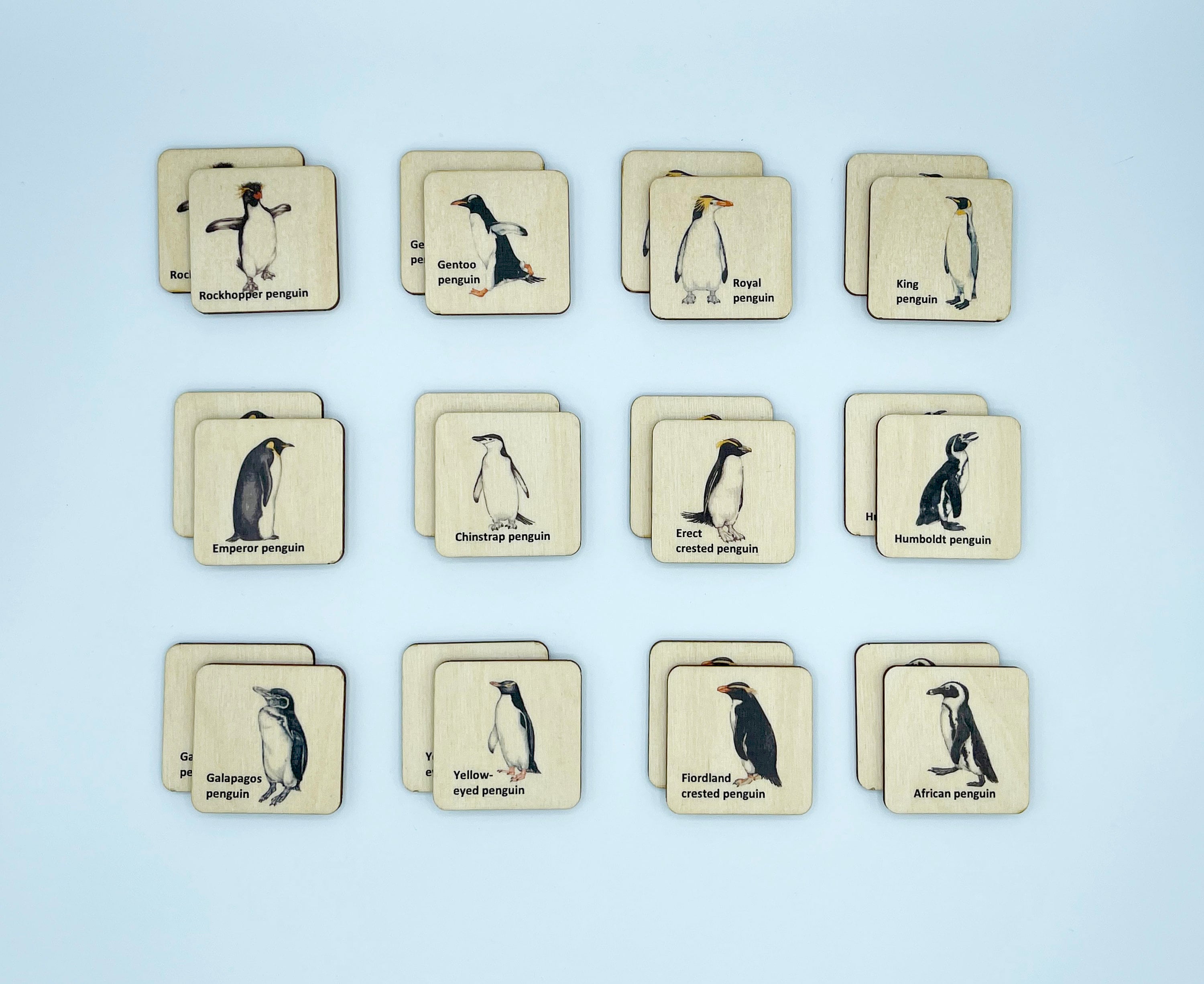 Wooden Penguin Animals Memory Game Matching Cards/montessori - Etsy