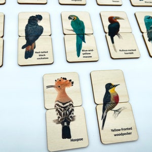 Montessori Wood Birds Puzzle Game / Homeschool Preschool Kindergarten ...