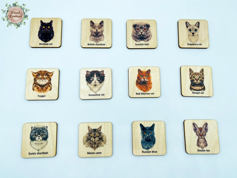 Wooden Cat Memory Game/ Cats Matching Game Activity/ Montessri - Etsy