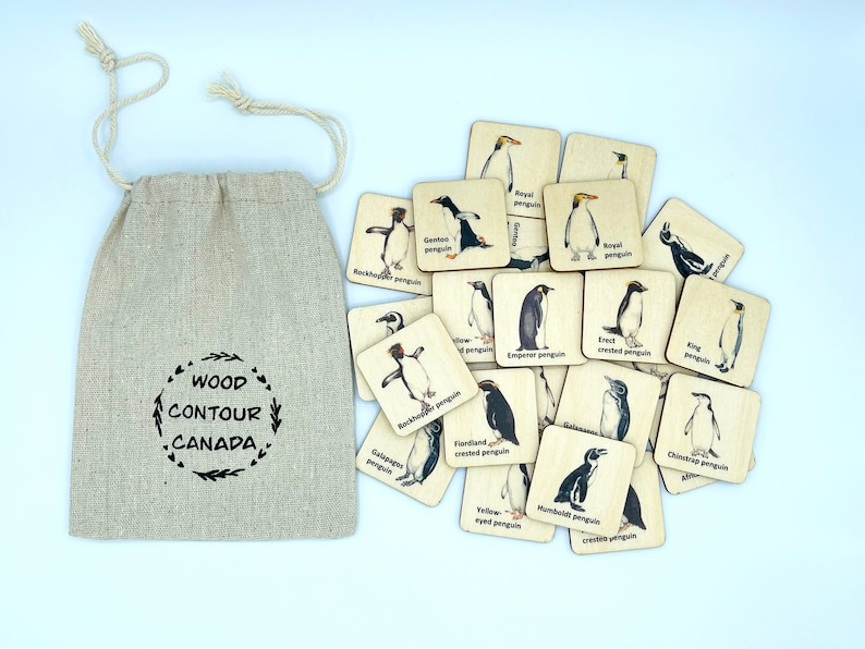 Wooden Penguin Animals Memory Game Matching Cards/montessori | Etsy