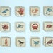 Wood Montessori Ocean Animals Matching Game/ Sea Creatures Animals ...