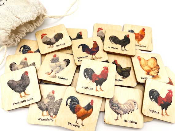 Wooden Chicken Memory Game Montessori Toys Wood Animals | Etsy