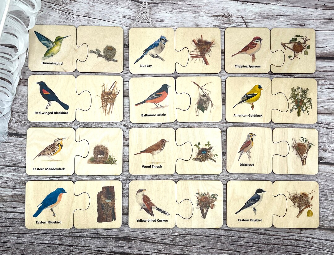 Montessori Wood Backyard Birds and Nests Matching Puzzle/ Homeschool ...