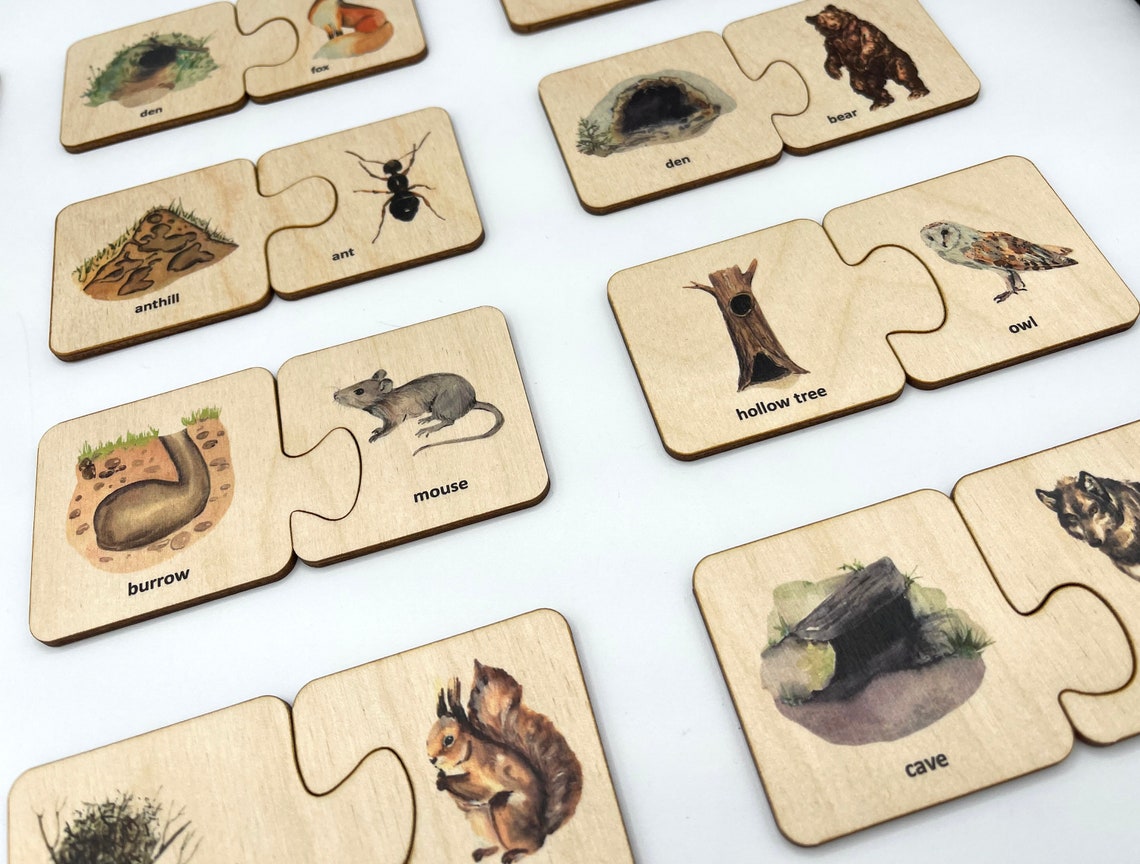 Montessori Wood Animals Puzzle/ Animals Habitat Sorting Game/ - Etsy