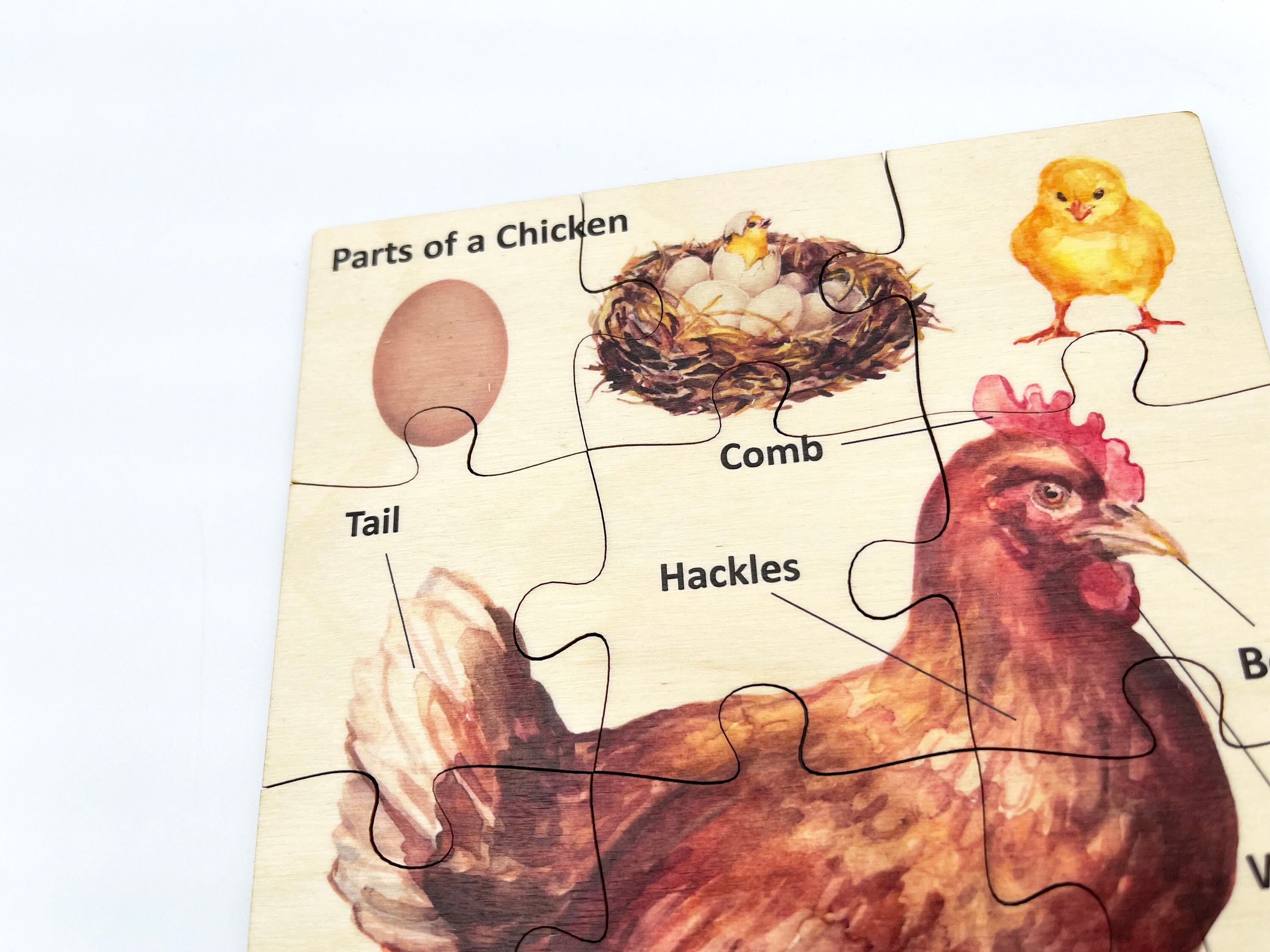 Wooden Chicken Life Cycle Puzzle for Kids Toddler Montessori | Etsy