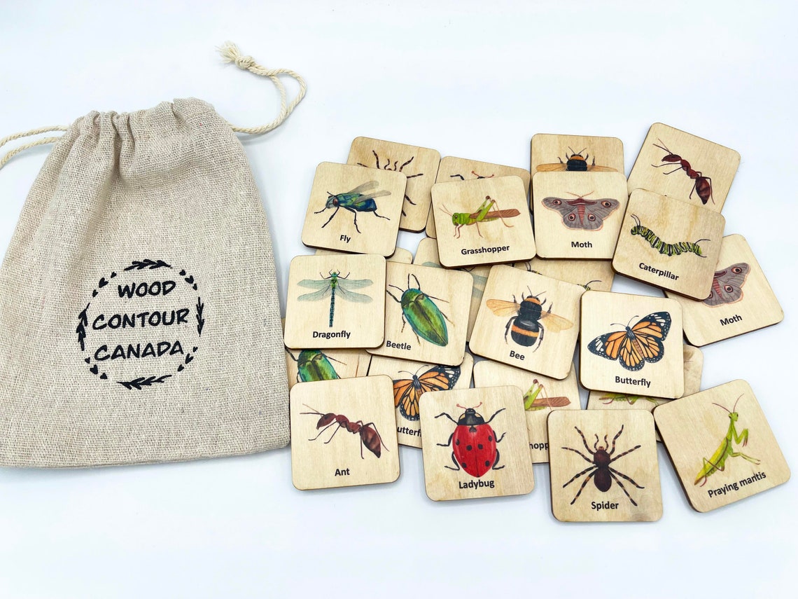 Wooden Insect Bug Memory Game, Montessori Insect Bug Matching Cards ...
