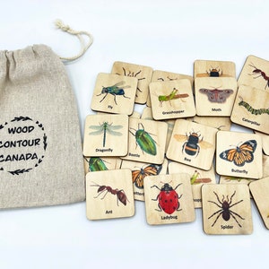 Wooden Insect Bug Memory Game, Montessori Insect Bug Matching Cards ...
