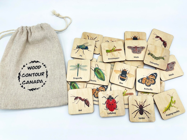 Wooden Insect Bug Memory Game Montessori Insect Bug Matching - Etsy