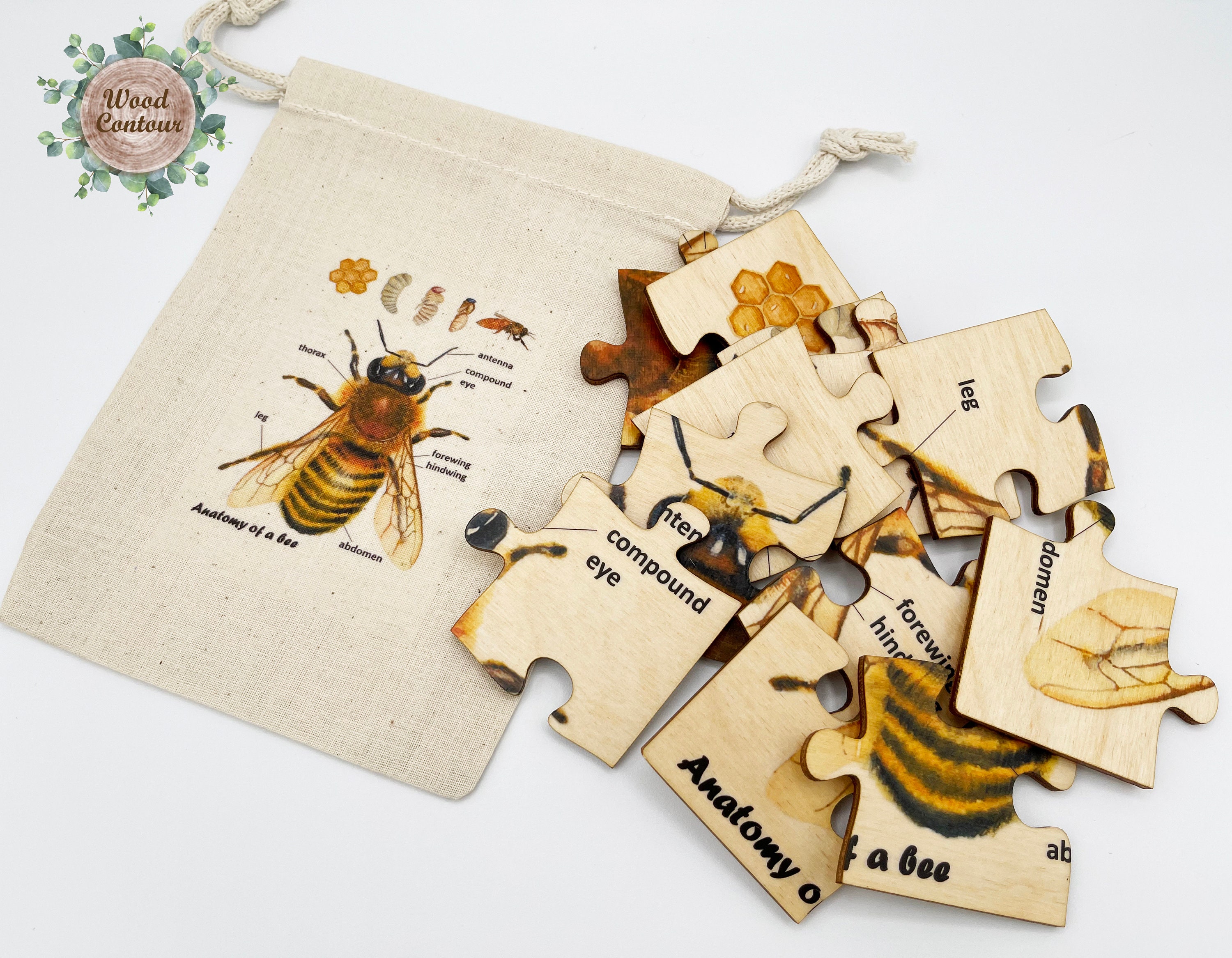 Montessori Wooden Anatomy Bee Puzzle/ Homeschool Preschool | Etsy