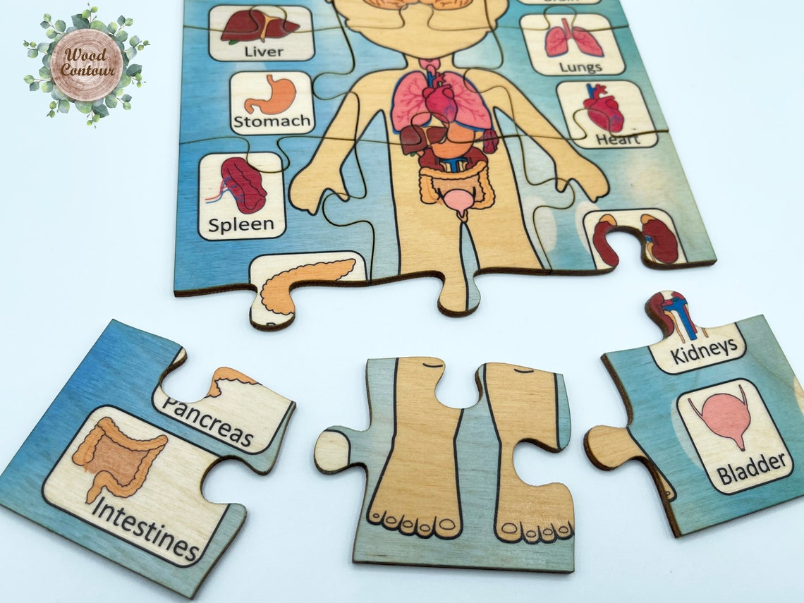 Montessori Wooden Body Parts Jigsaw Puzzle/ Wood Anatomy Human - Etsy