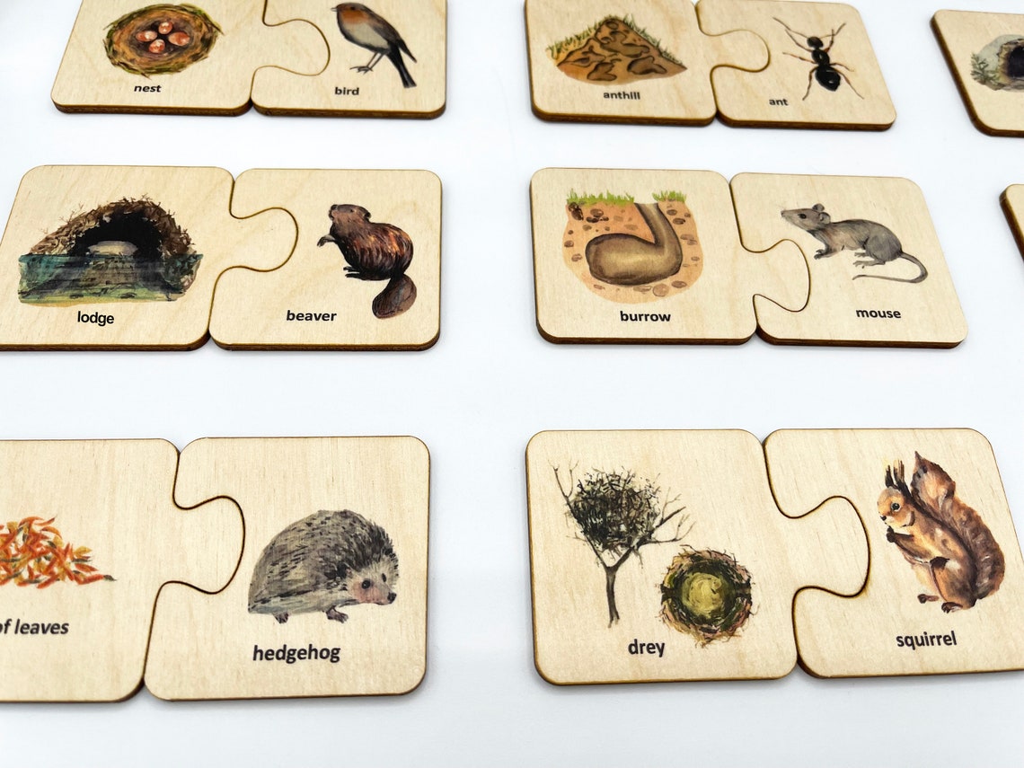 Montessori Wood Animals Puzzle/ Animals Habitat Sorting Game/ Nature ...