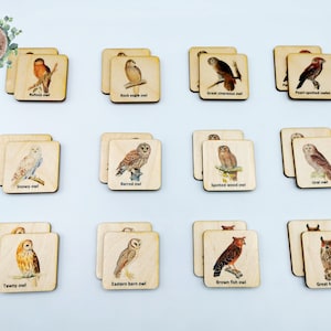 Montessori Wooden Owls Matching Game/memory Game Homeschool Activities ...