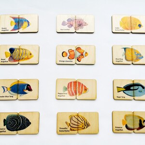 Montessori Wooden Tropical Fish Ocean Puzzle Game/ Homeschool Preschool ...