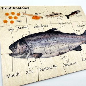 Wooden Trout Fish Anatomy Puzzle for Preschool Toddler ,montessori ...