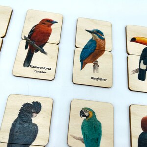 Montessori Wood Birds Puzzle Game / Homeschool Preschool Kindergarten ...