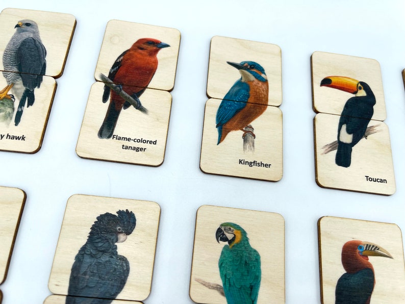 Montessori Wood Birds Puzzle Game / Homeschool Preschool Kindergarten ...