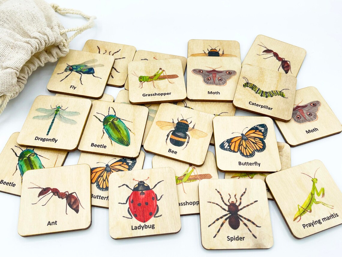Wooden Insect Bug Memory Game Montessori Insect Bug Matching - Etsy Canada
