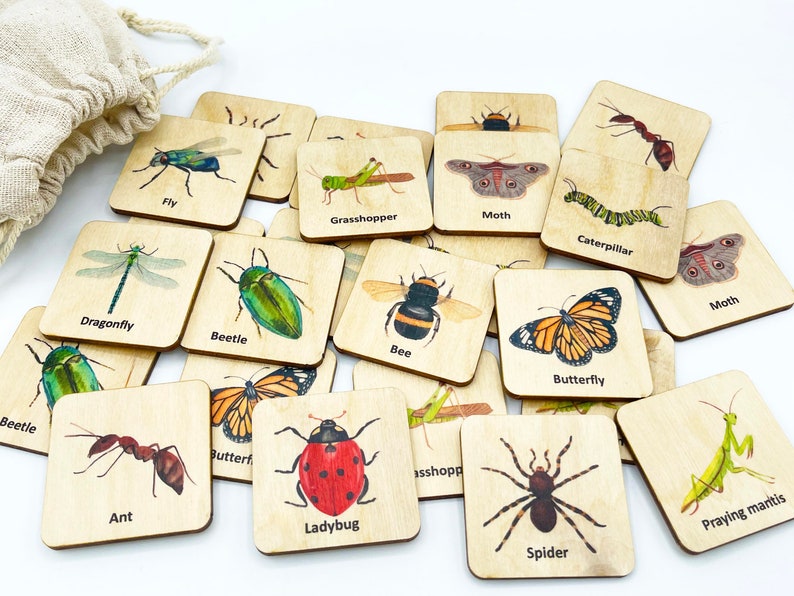 Wooden Insect Bug Memory Game Montessori Insect Bug Matching - Etsy Canada