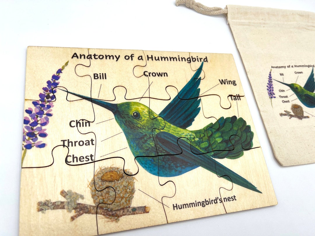 Montessori Hummingbird Anatomy Wooden Puzzle/ Homeschool Preschool ...