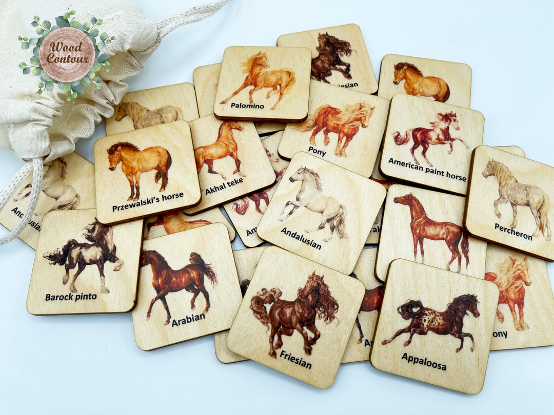 Wooden Montessori Horses Memory Game/ Homeschool Kindergarten ...