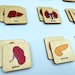 Wooden Montessori Human Anatomy Memory Game/ Organs Matching Game ...