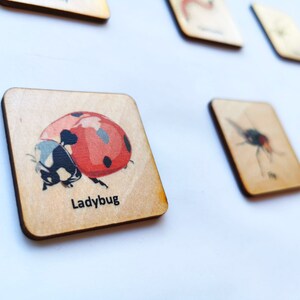 Wooden Insect Bug Memory Game Montessori Insect Bug Matching | Etsy