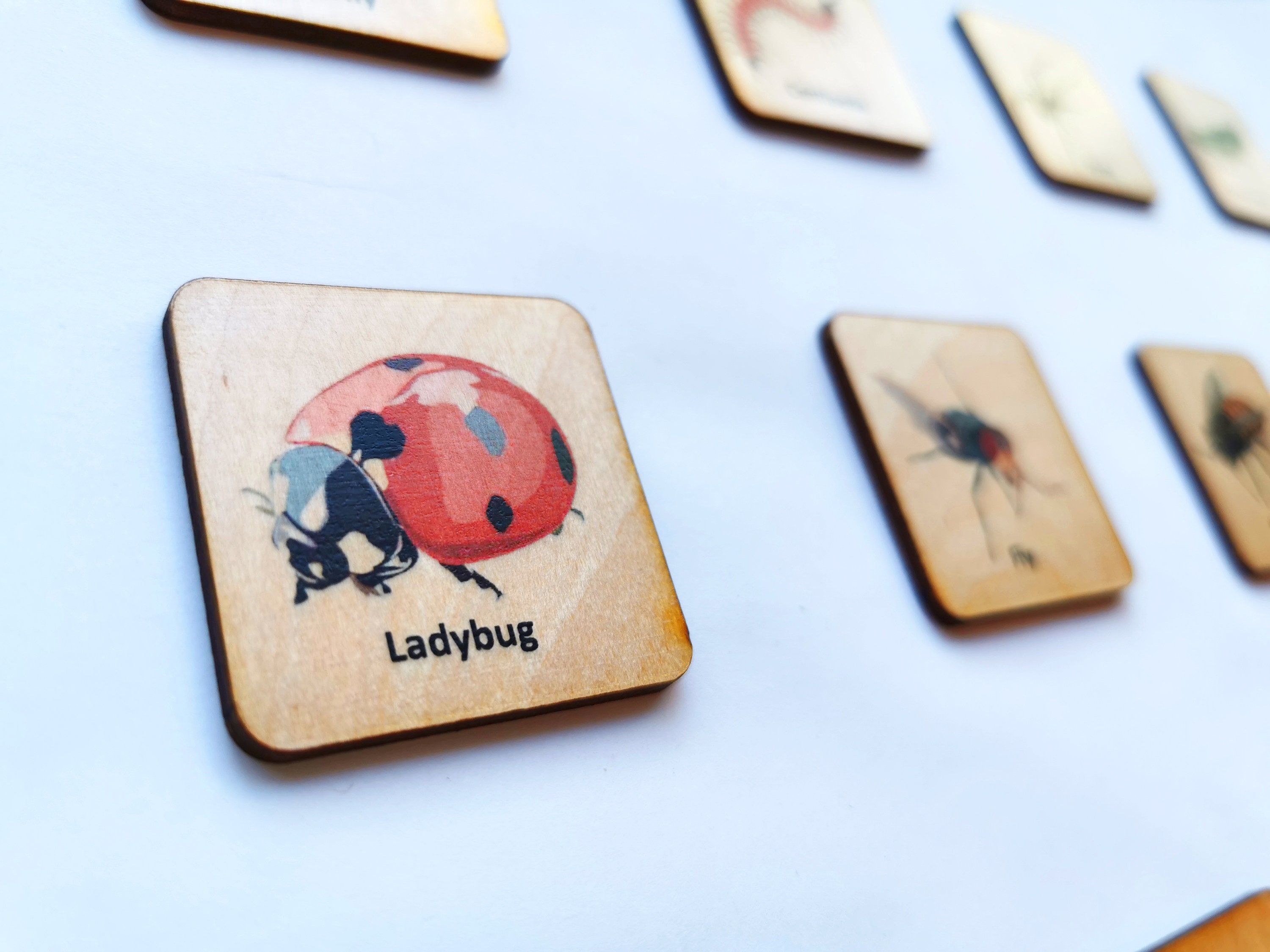 Wooden Insect Bug Memory Game Montessori insect bug matching | Etsy