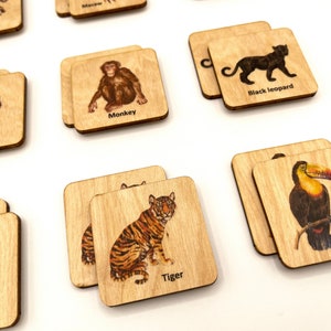 Montessori Rainforest Animals Matching Cards, Wooden South America ...