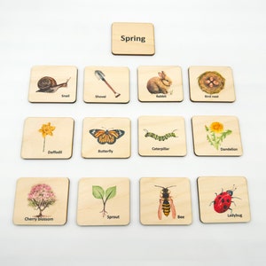 Four Seasons Matching Game/ Spring Summer Autumn Winter Matching ...