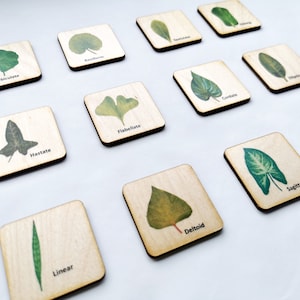 Montessori Wooden Botany Leaf Shapes Matching Cards/ Homeschool ...