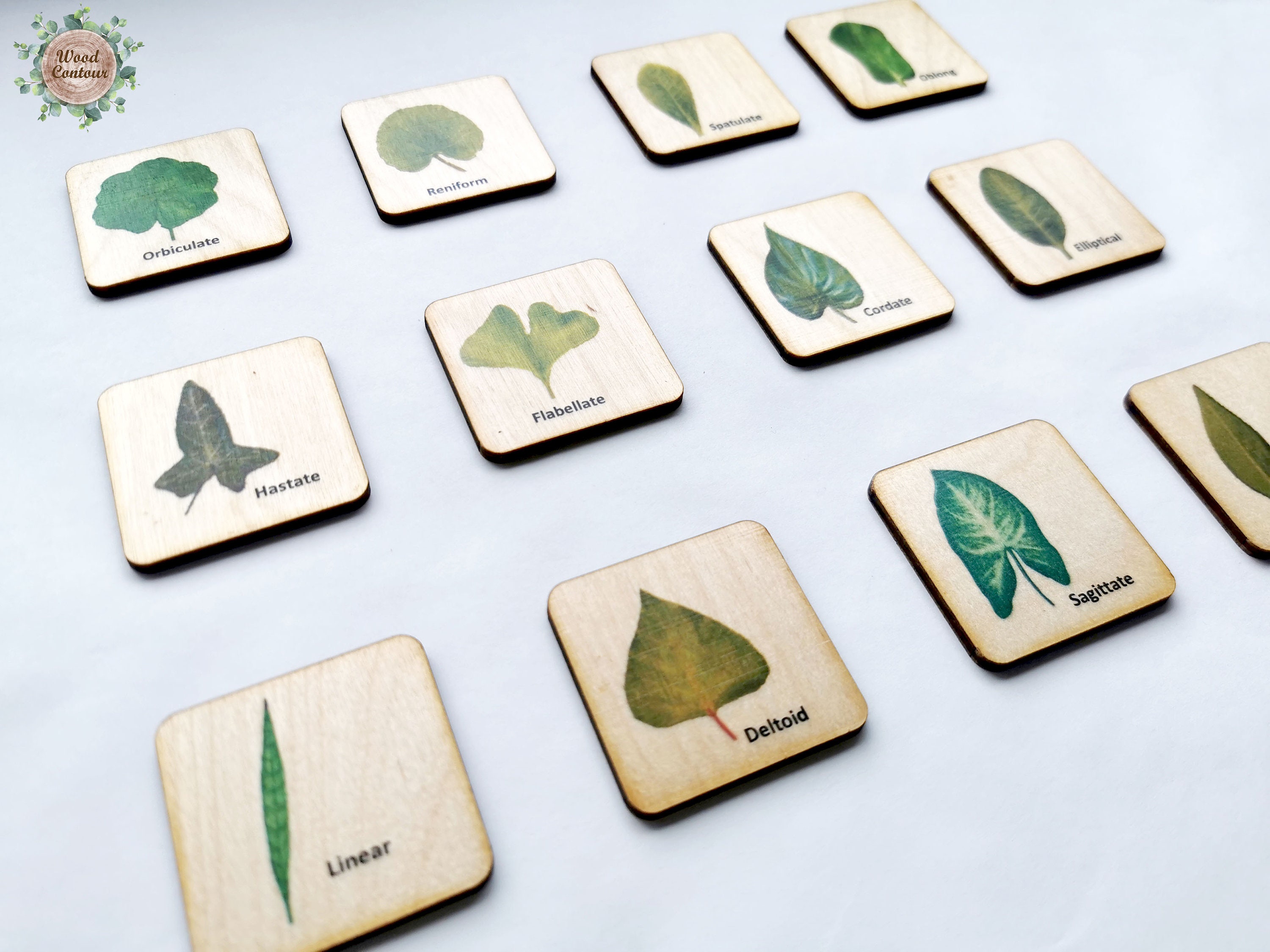 Montessori Wooden Botany Leaf Shapes Matching Cards/ | Etsy