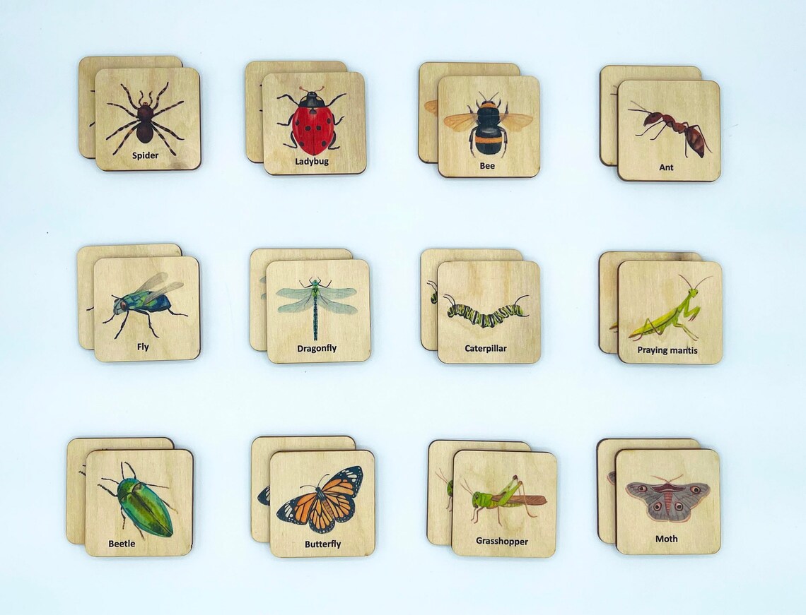 Wooden Insect Bug Memory Game Montessori Insect Bug Matching - Etsy