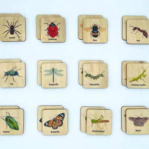 Wooden Insect Bug Memory Game, Montessori Insect Bug Matching Cards ...