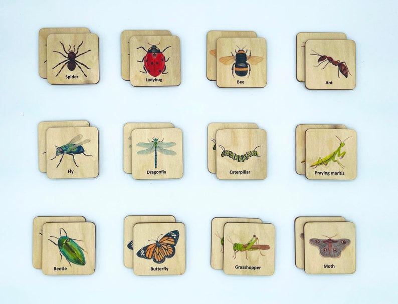 Wooden Insect Bug Memory Game Montessori Insect Bug Matching - Etsy