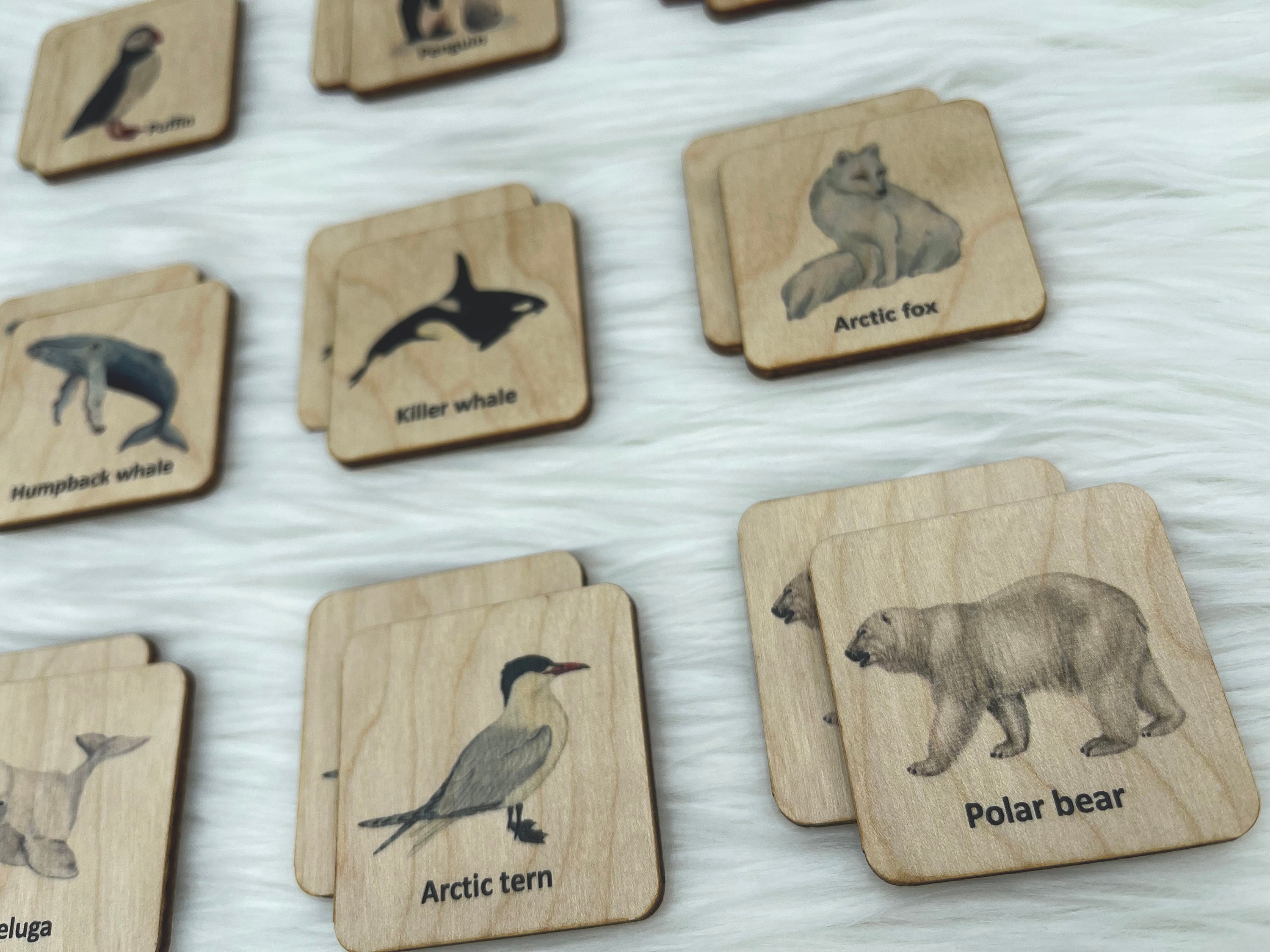 Montessori Arctic Animals Wooden Matching Game/ Homeschool Toddler ...