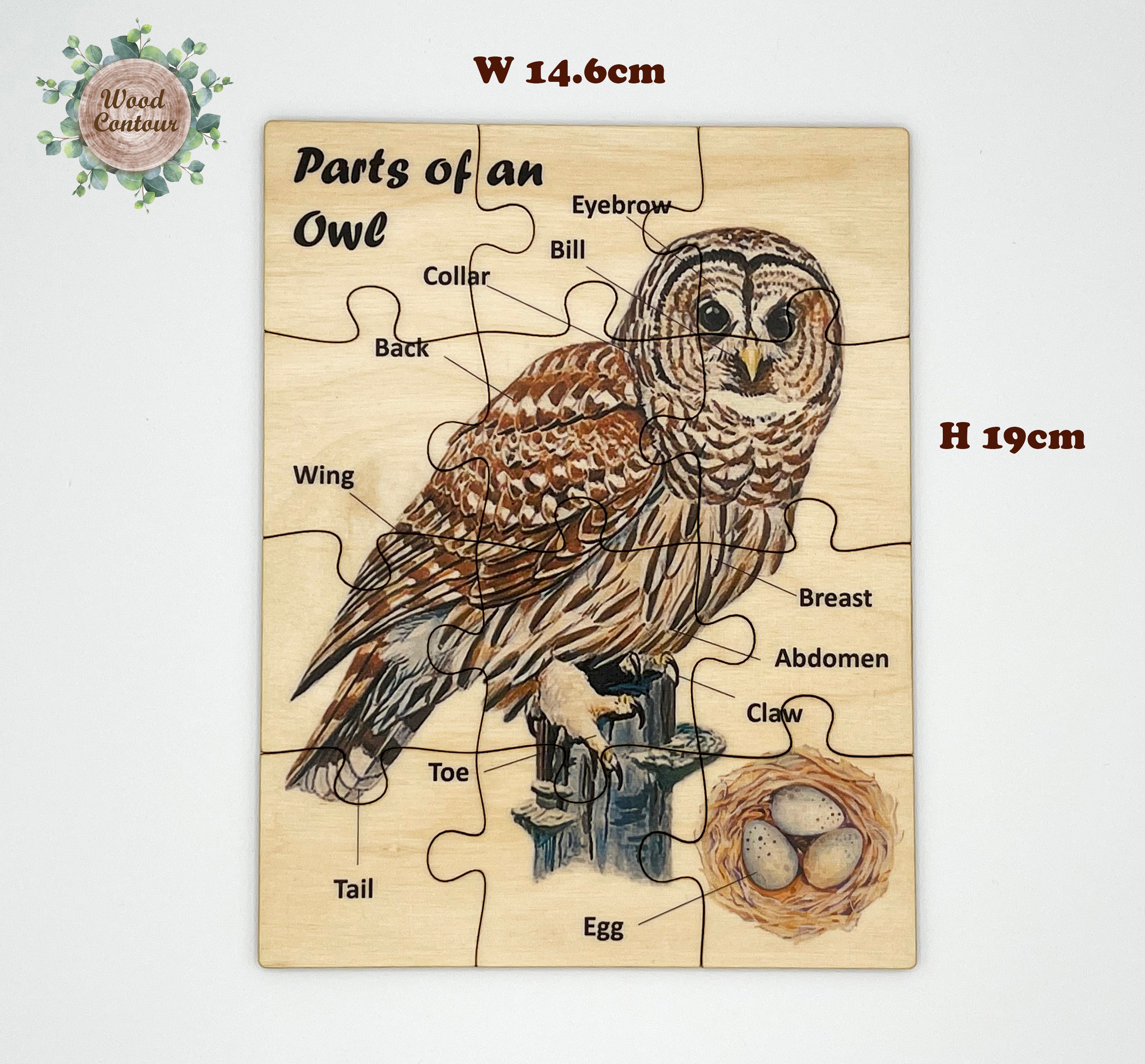 Montessori Wooden Owl Anatomy Jigsaw Puzzle/ Homeschool | Etsy