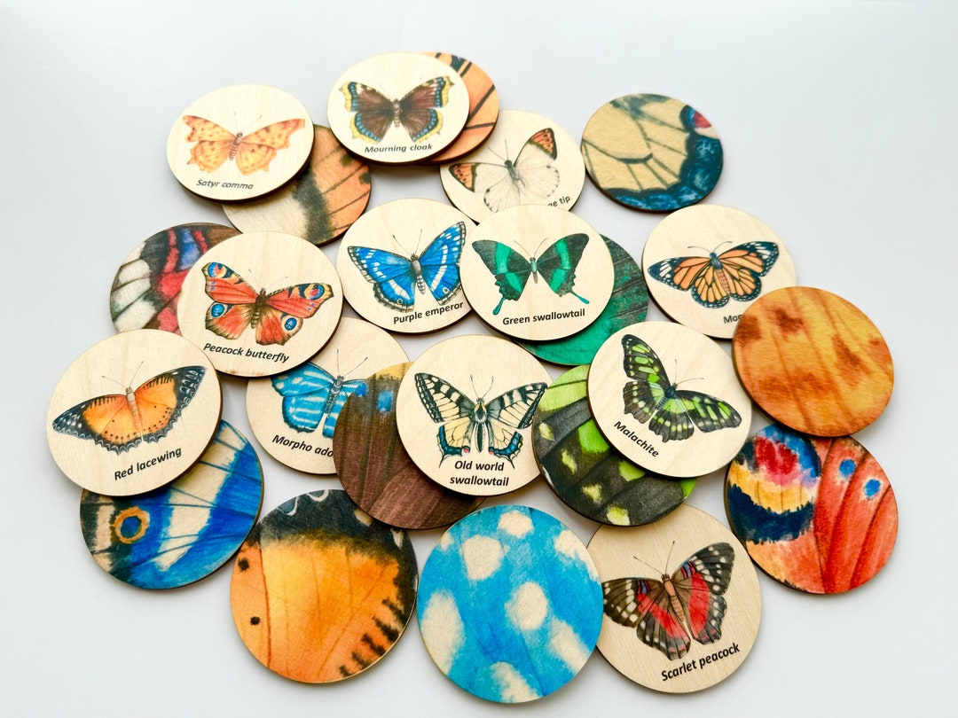 Montessori Wooden Butterfly Pattern Matching Game/ Homeschool Learning ...