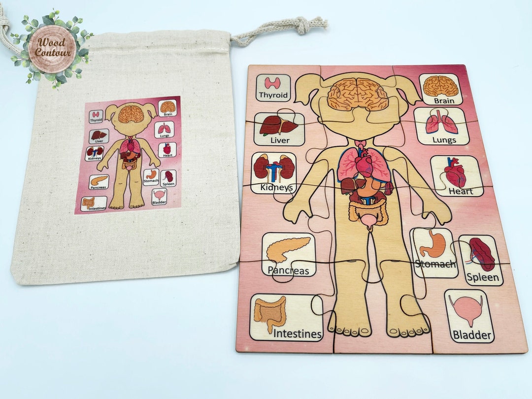 Montessori Wooden Body Parts Jigsaw Puzzle/ Wood Anatomy Human Body ...