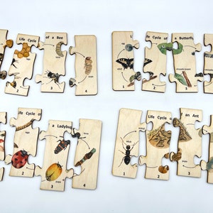 Montessori Life Cycle Puzzle Set/ Kids Learning Activity/ Homeschool ...