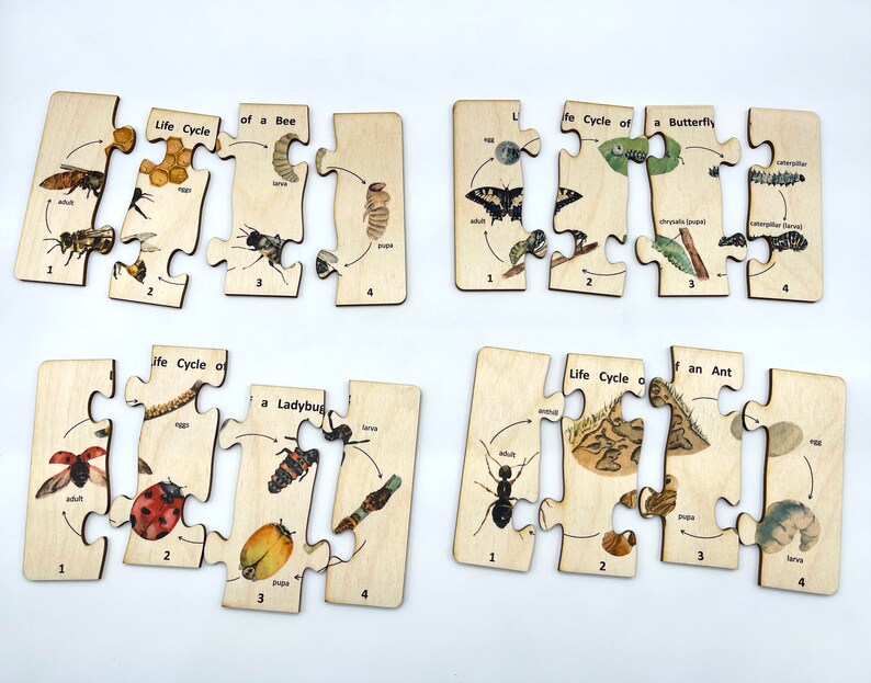 Montessori Life Cycle Puzzle Set/ Kids Learning Activity/ Homeschool ...