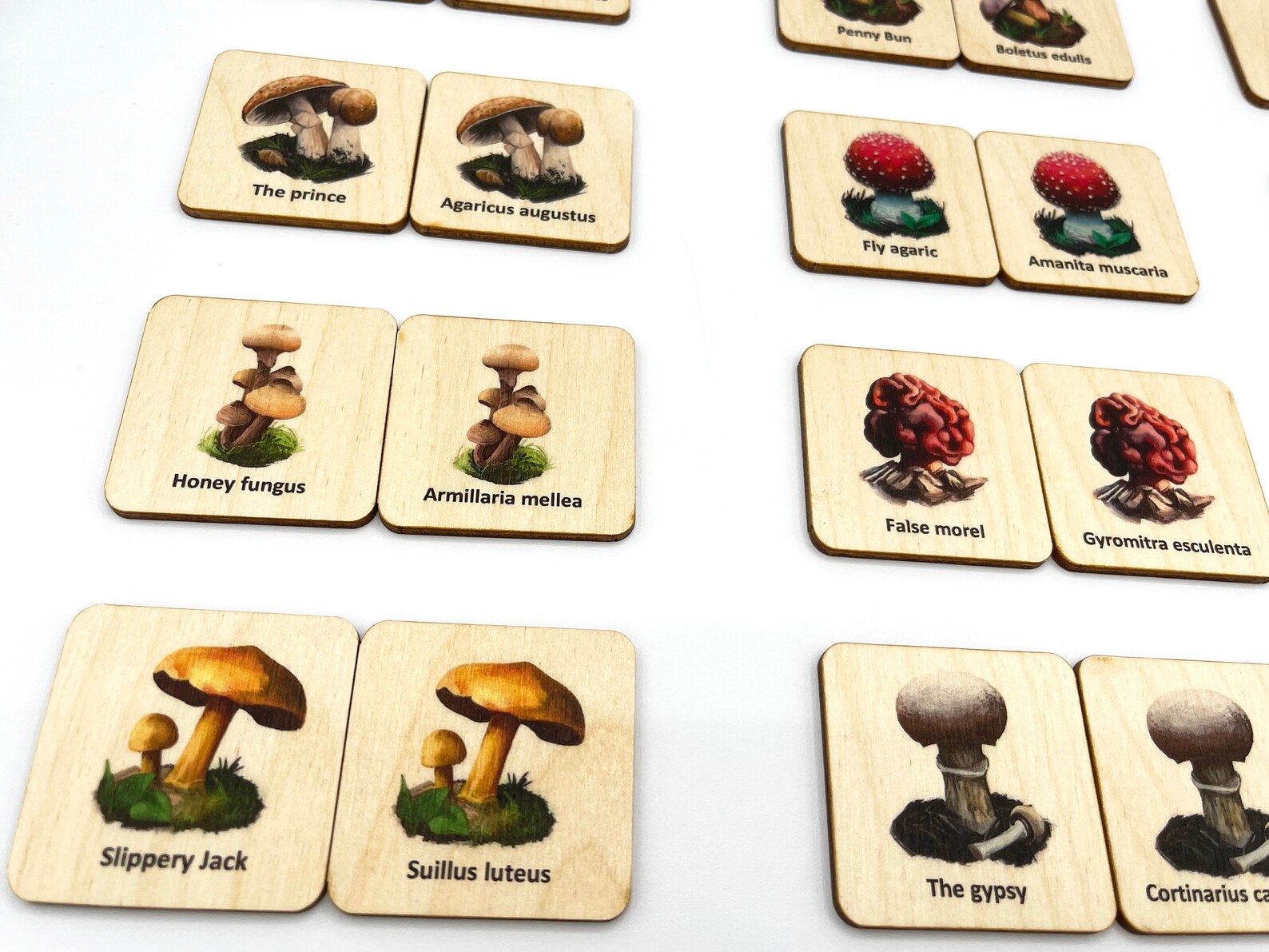 Wooden Mushroom Fungi Matching Cards, Montessori Learning Wild Mushroom ...