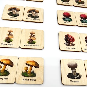 Wooden Mushroom Fungi Matching Cards, Montessori Learning Wild Mushroom ...