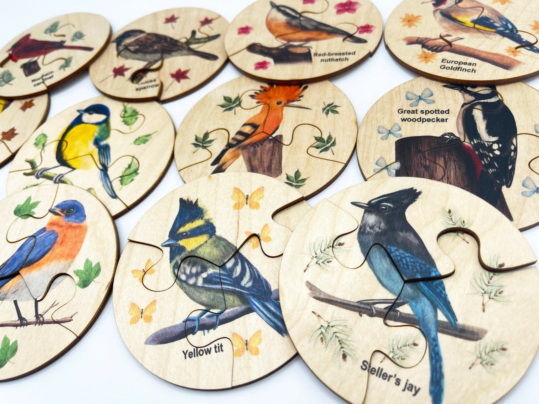 Montessori Bird Puzzle Matching Game/ Toddler Kids Learning Jigsaw ...