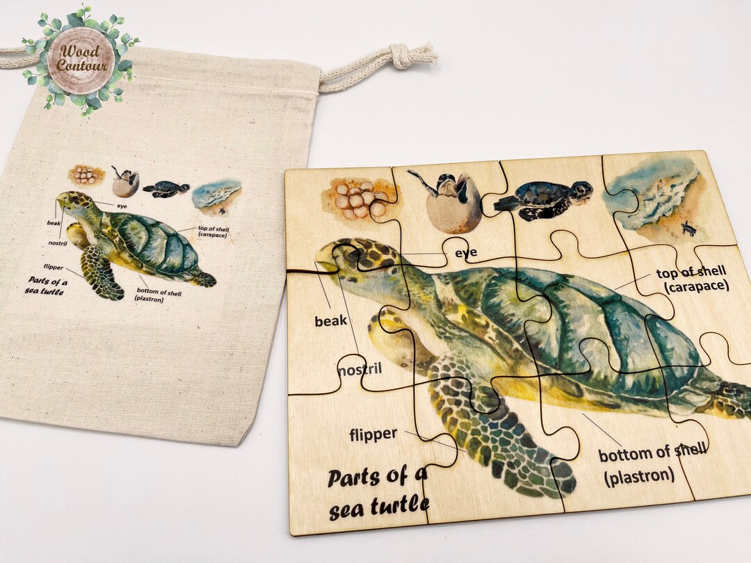 Montessori Wooden Parts of Sea Turtle Jigsaw Puzzle/ Homeschool ...