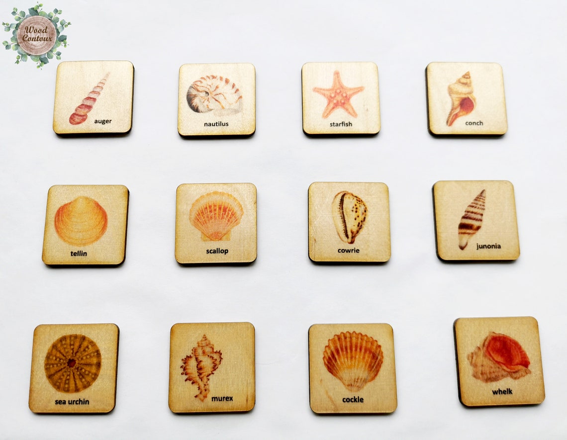 Montessori Wooden Seashell Matching Cards/ Homeschool - Etsy