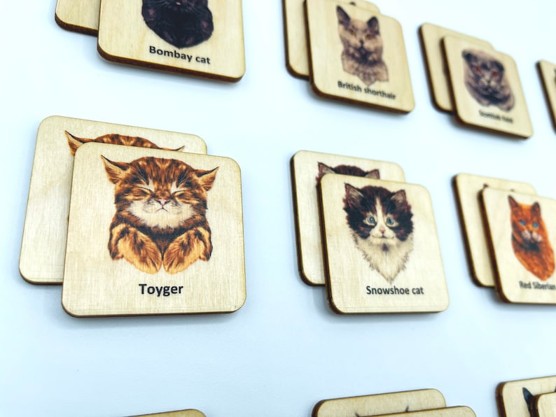 Wooden Cat Memory Game/ Cats Matching Game Activity/ Montessri - Etsy